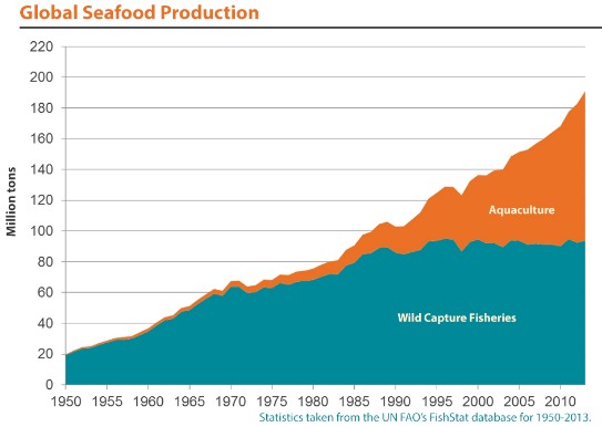 Seafood Media Group - Worldnews - Global aquaculture market estimates ...