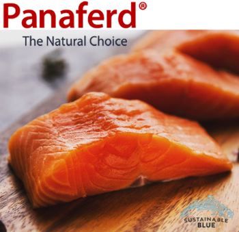 FIS - Proveedores - Detalles de Compañía