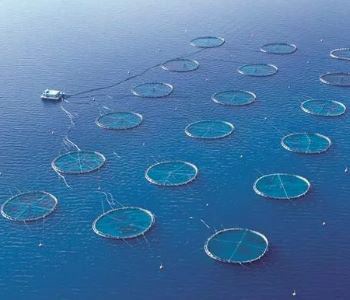 Seafood Media Group - Worldnews - Aquaculture exports at $1.4 billion already exceed 2023 target