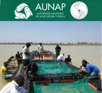 Seafood Media Group - Worldnews - The Colombian aquaculture sector in numbers